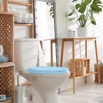 Comfortable Toilet Seat Cover Seats Round Soft Close Toilet