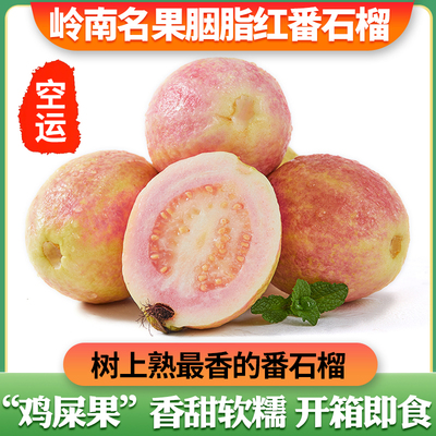 【顺丰空运】广州增城胭脂红芭乐红心芭乐软糯低糖鸡屎果番石榴