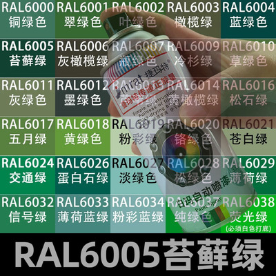 RAL6005苔藓绿自动喷漆