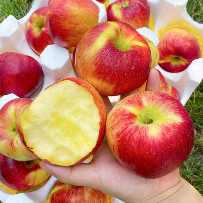 高端栖霞爱香妃非进口爱妃苹果