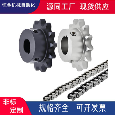 链轮50系列10A）VLG02-50-9 10 11 12 13 14 15 16 17 18 19-D16