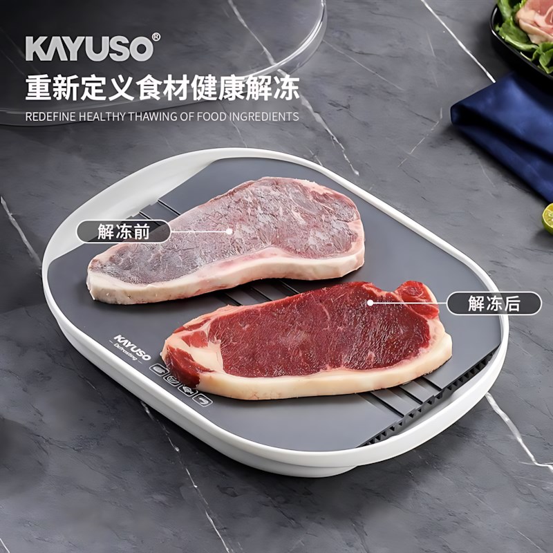 德国快速解冻神器家用高品质器自动I化冻肉食物食品保鲜机导热
