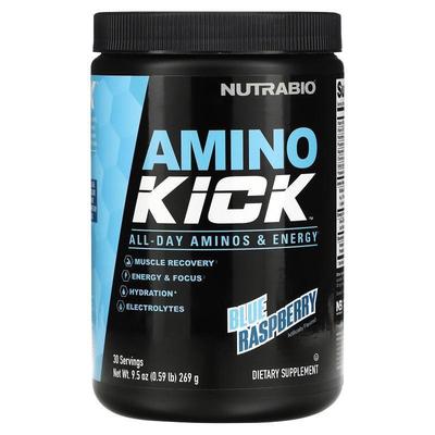 Nutrabio Labs,Amino Kick，树莓柠檬汽水味，0.61 磅（276 克）
