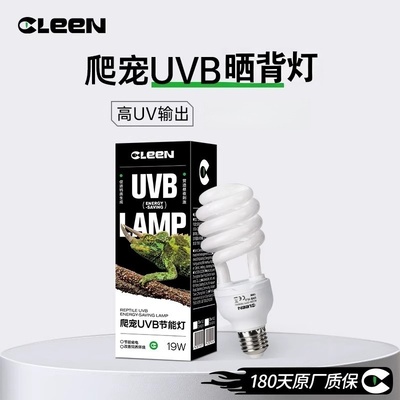 其鳞爬虫乌龟UVB晒背灯太阳灯