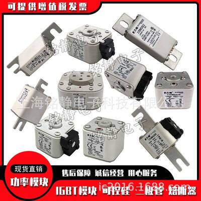 170M3970170M3971170M3972170M3973170M3974熔断器170M3975