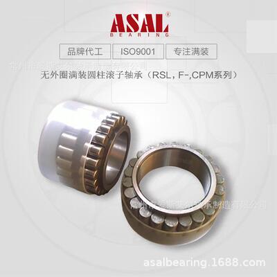 F204754无外圈轴承ASAL工厂直供减速机轴承