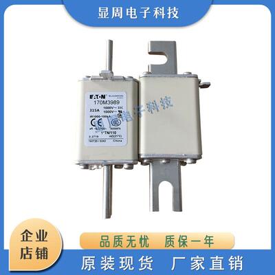 熔断器170M3985 3986 3987 3988 3989 3990 3991 4008 4009 4010