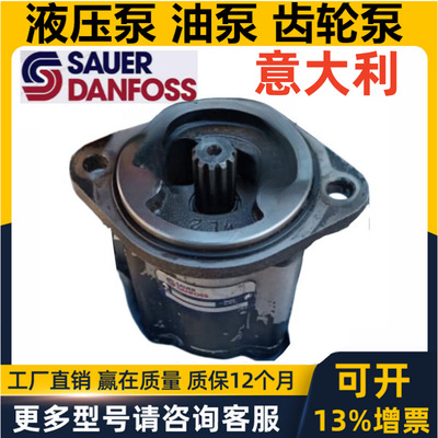 美国Sauer danfoss齿轮泵A2C5L山猫装载机液压泵总成653 751 753