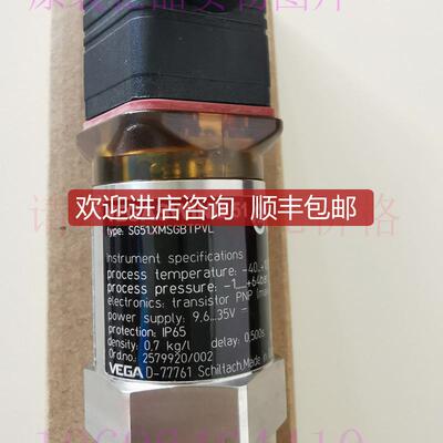 VEGA威格VEGASWING51 SG51.XASGATPVL XMSGBTPVL音叉开关询价