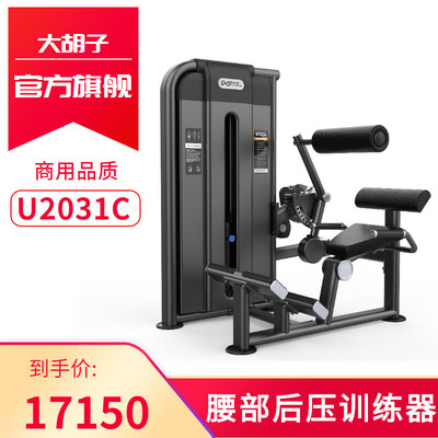 DHZ大胡子运动健身器材U2031C 腰部后压训练器专业室内家用商业用