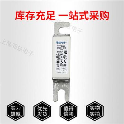 170M1308 1309 1310 1311 1312 1313 1317 1319 1322保险丝