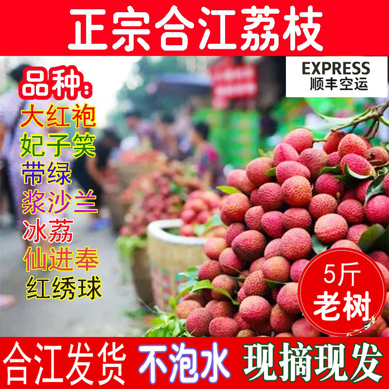 2026四川泸州合江荔枝新鲜现摘晚熟水果带绿大红袍妃子笑