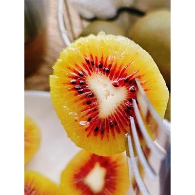 【5斤家庭装】贵州六盘水