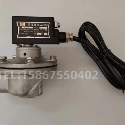 禁铜锌脉冲阀 不锈钢脉m冲电磁阀 DMF-Z-25 脉冲阀 RCAC20DD4022