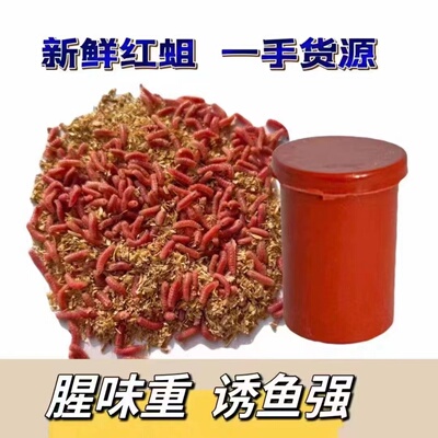 冰钓鱼蛆活蛆红色蛆虫鱼饵苍蝇宝宝鱼饵白蛆钓小公鱼肉蛆牙子蛆虫