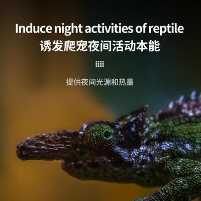 REPTIZOO爬虫加热夜灯爬宠缸箱鬃狮蜥蜴陆龟变色龙取暖保温夜间灯