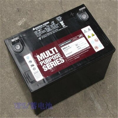 (西恩迪)大力神蓄电池C&D12-z65NLBT 12V6hUPS 质保三年