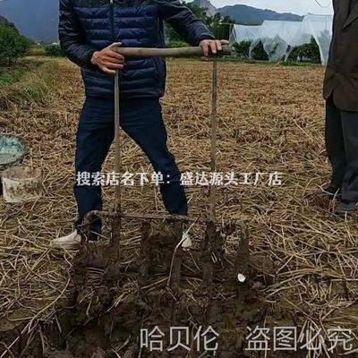 挖马地蹄专IEV用工具的农专用翻掘荸神器钢叉子翻土荠掘铲生姜宽