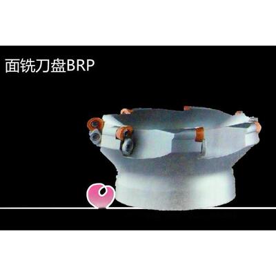 高精度数控刀盘R5圆面铣刀盘BRP5R-100-32-6T BRPW5R-100-32-6T