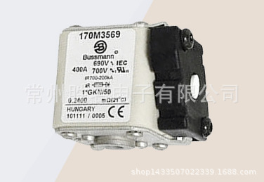 170M3523 170M3558 170M3559 170M3560 170M3561 170M3562 熔断器