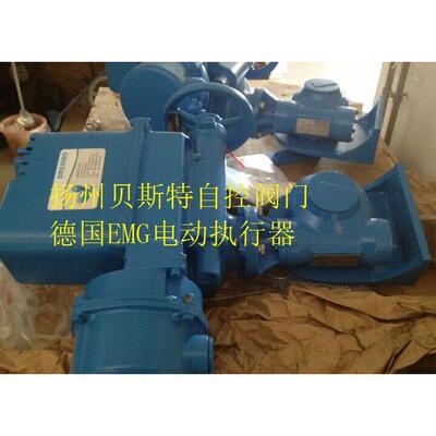 电动执行器EM6 DIM 显示板 2357110165-50.13 DIM-02.2B-04.BMK