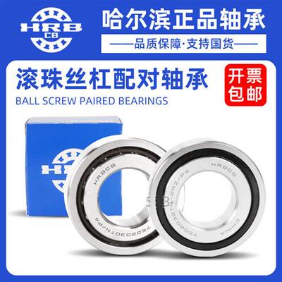 哈尔滨滚珠丝杠配对轴承7602017 7602020 7602025 7602030TN/P4