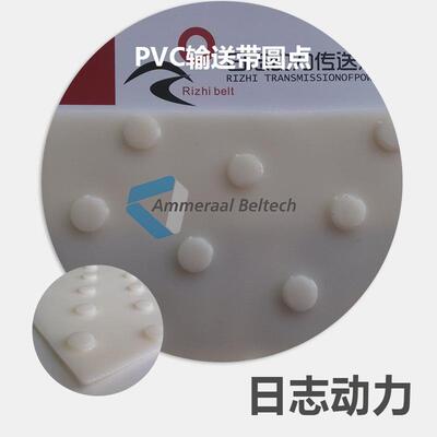 PVC输送带 透明圆点 Flexam EM 8/2 0+S46 Transp 5.5MM 谱乐诗