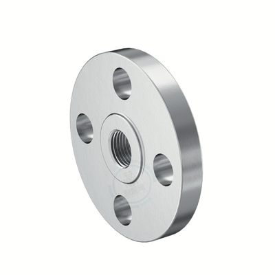 NPT 低压Alloy 20不锈钢锻造法兰 112P271