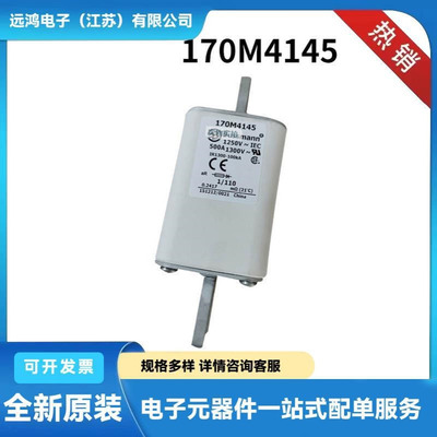 170M3808D 170M3809D 170M3810D 170M3811D原厂快速熔断器 保险丝
