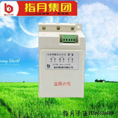 正品指月集团智能复合开关ZUFK-60-△ 共补（1-20kvar可控硅继电
