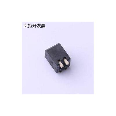 DSPV02LSGET拨码开关位.