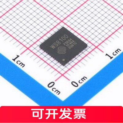 WS8100F5EQ4单晶片(MCU/