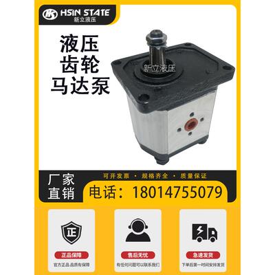 BHM2B0R液压齿轮泵马达 BHM2B0R14T3E4-Q1 双向齿轮泵Boden油泵