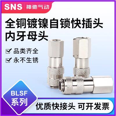 SNS神驰小型全铜镀镍C式快速接头BLSM  BLSP BLPM BLPP-10/20/30S