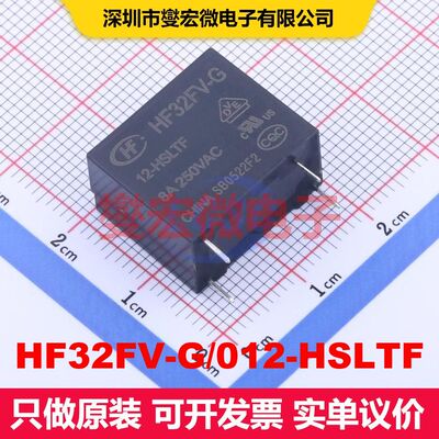 HF32FV-G/012-HSLTF Through Hole,18.4x10.2mm 功率继电器 继电