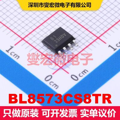 BL8573CS8TR ESOP-8 电池管理 电源管理 集成芯片IC