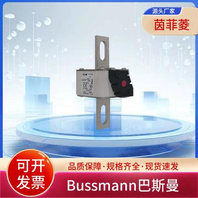 熔断器170M6906 170M6907 170M6908 170M6909 170M6910 170M6918