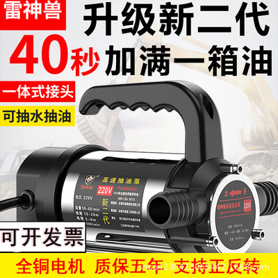 油水两用电动柴油泵直流抽水泵12V24V48V60V220V小型抽油机抽水泵