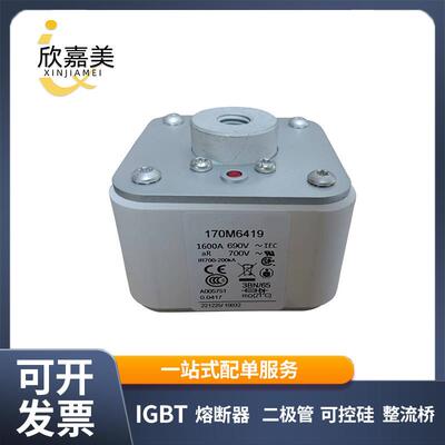 170M6419 170M6420 快速低压熔断器 直流 熔芯 电子元器件 现货