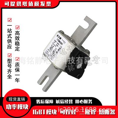 170M4807170M4808170M4809巴斯曼170M4810熔断器170M4811保险丝