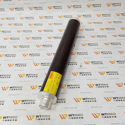 德国进口 西霸SIBA 3021113.160  高压熔断器