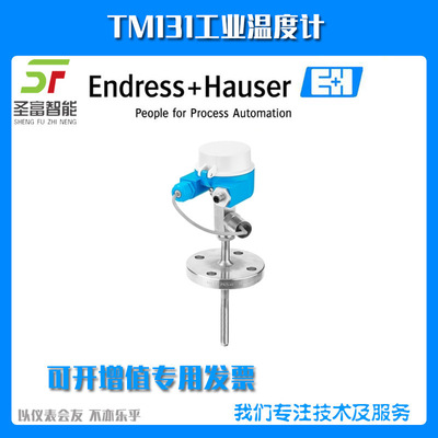 工业温度计TM131-AABBACC1BX1AGAC2CA1AA1+NQ L=60MM