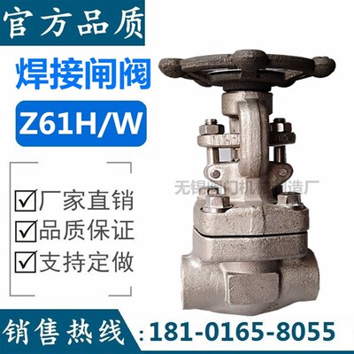 闸阀Z61H/W-100P/160P/250P/320P 高压锻不锈钢承插焊DN32 40