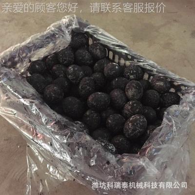 产中自小型鸡蛋鸭蛋清洗机厂家 商用洗生SRI机 动化清洗蛋品流水