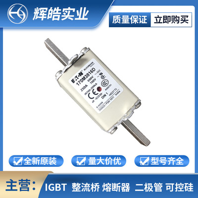 170M4266 170M4267 熔断器 熔断器配件 保险丝 电子元器件
