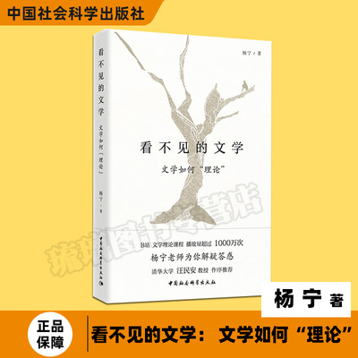 正版书籍 看不见的文学：文学如何理论 杨宁 著 哔哩哔哩B站知名up主文学理论 据B站课程《杨宁老师的文学启示课》课程讲稿改编