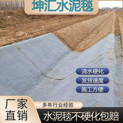 水泥毯浇水固化新型混凝土鱼塘护坡铺路水渠防水河道基坑用固水毯