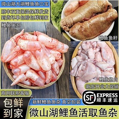 微山湖鲤鱼鱼杂新鲜鱼籽鱼泡鱼白