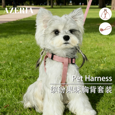 AZERIA狗狗牵引绳工字型胸背
