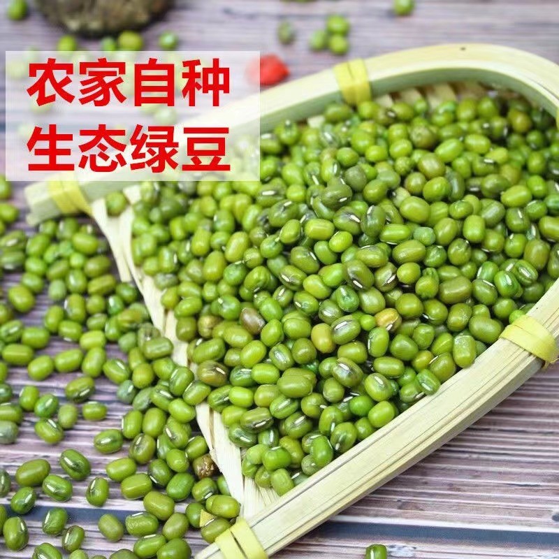 东北农家新货绿豆发芽绿豆多规格可选